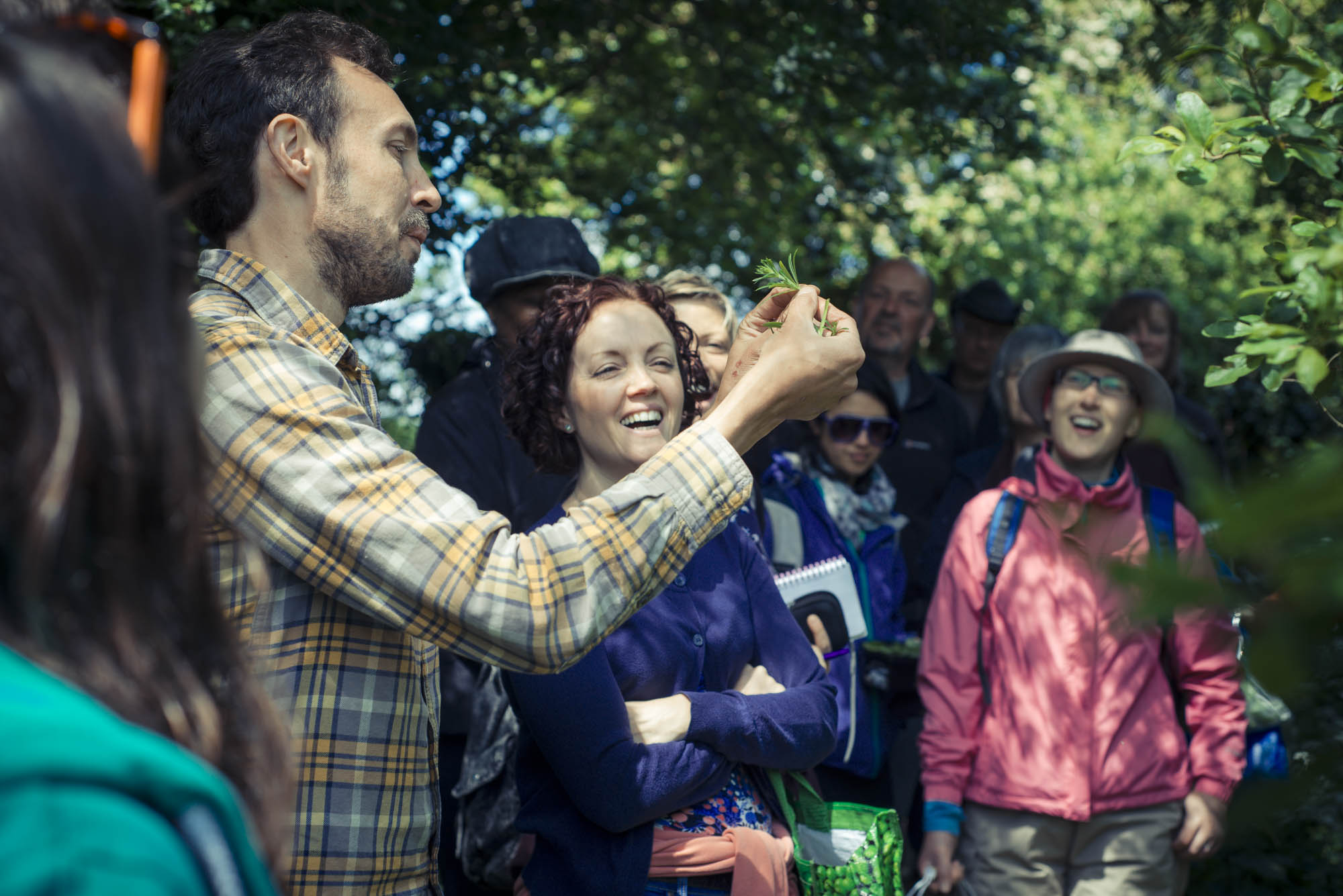 Wild food foraging walks and courses: mushroom hunts, hedgerow ...